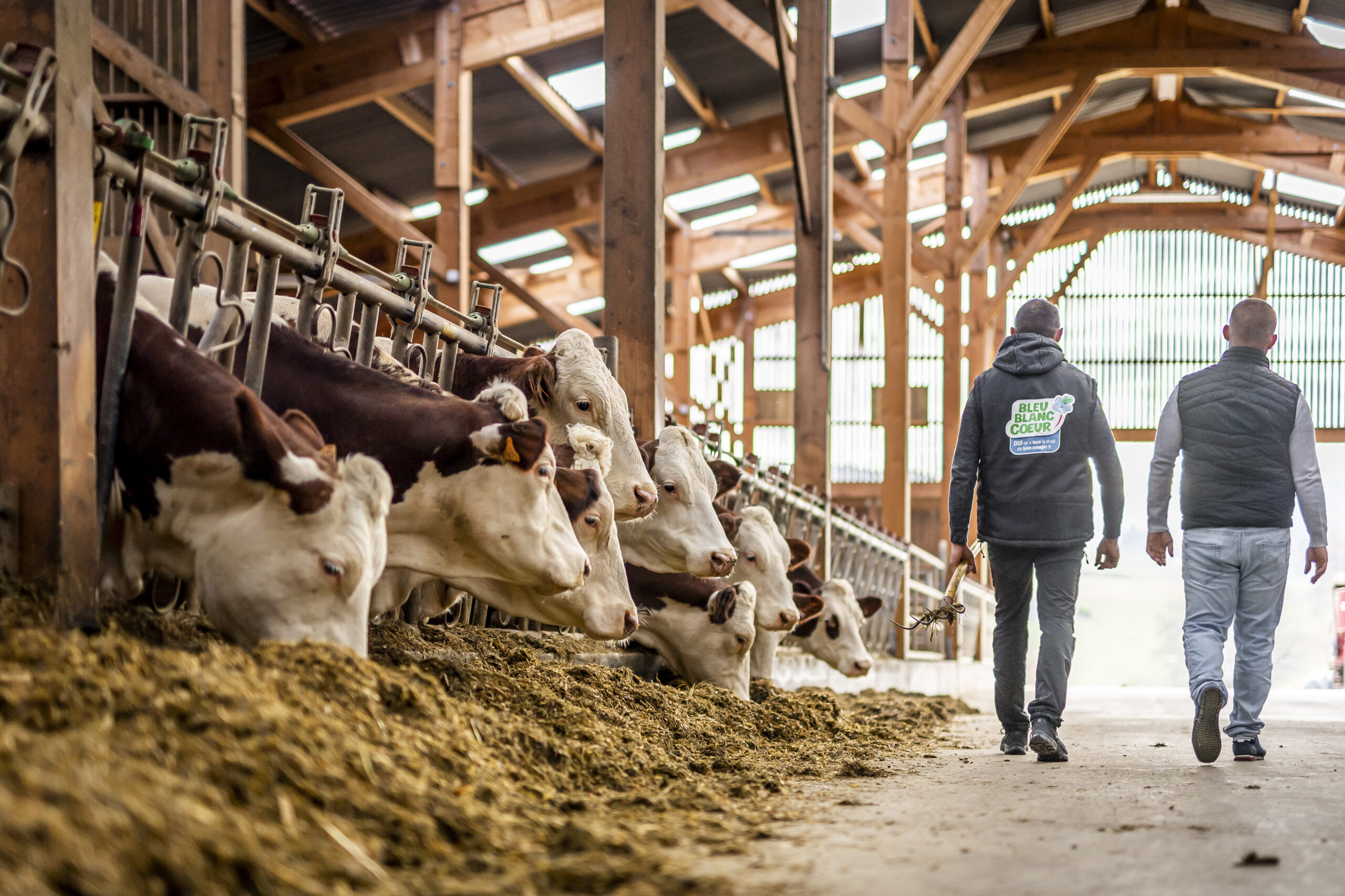 La filière Bleu-Blanc-Coeur : interview de Sylvain Palandre - Sodiaal ...